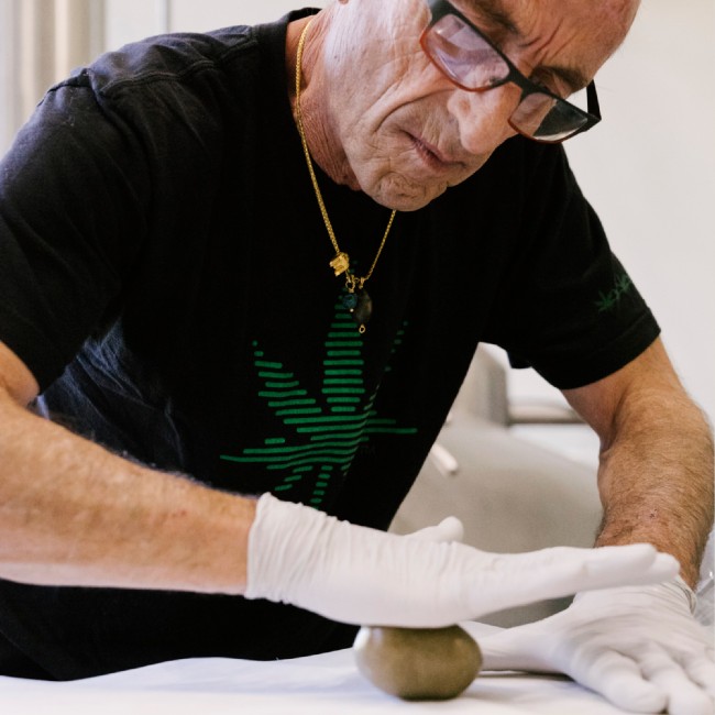 Frenchy Cannoli: A Hash Hero's Legacy | PotGuide.com - MED PODD