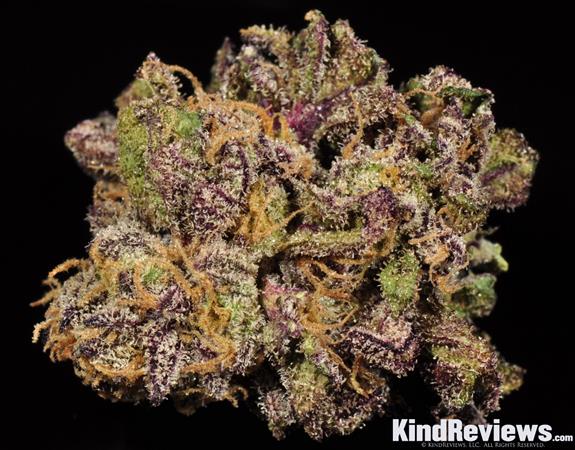 Grape Ape | Marijuana Strain Library | PotGuide.com