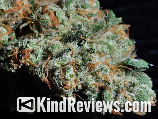 K2 (Colorado) | Marijuana Strain Library | PotGuide