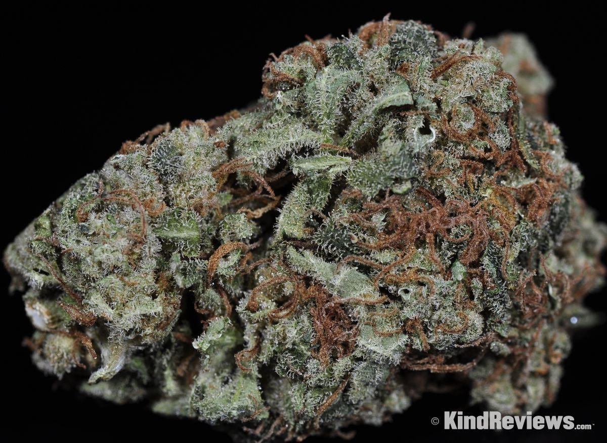 Snowcap Marijuana Strain Library PotGuide