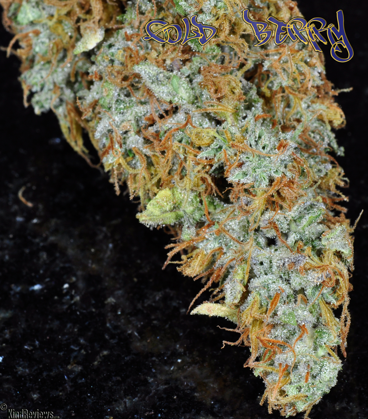 Gold Berry | Marijuana Strain Library | PotGuide.com