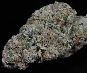 Grape Stomper | Marijuana Strain Library | PotGuide.com